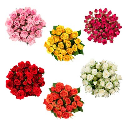 Spray Roses, Assorted Colors (choose 60 or 120 stems) - Sam's Club