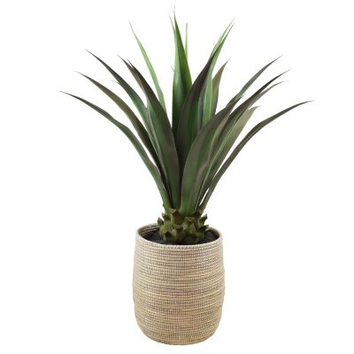 Faux Agave 42" - Sam's Club