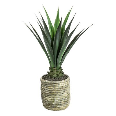 Faux Agave 42" - Sam's Club