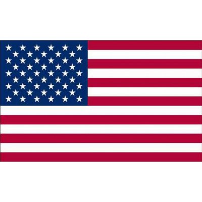 Mini USA 4" x 6" Flag - Sam's Club